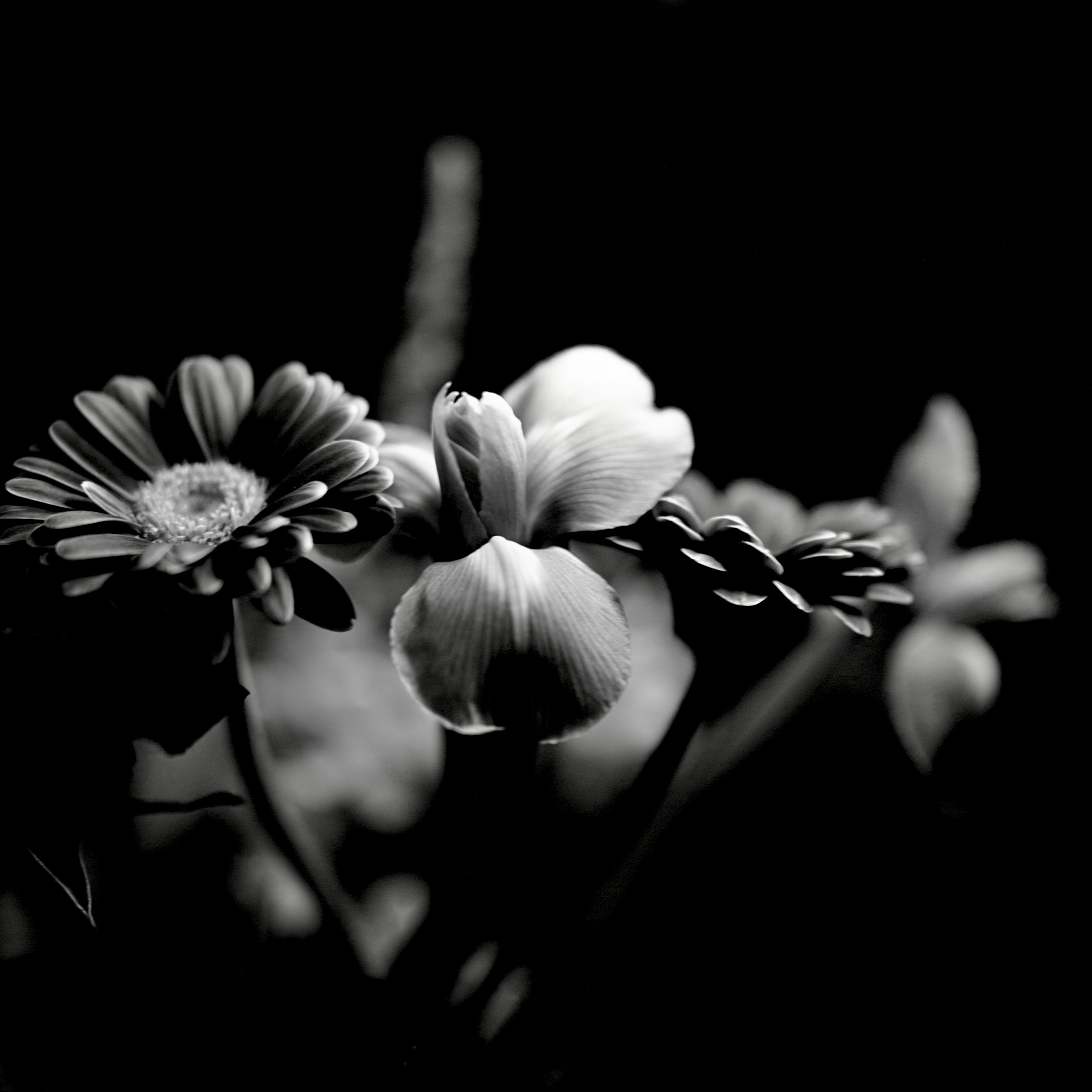 Michael Elliott Photography - Londoner And Fine Art Film Photographer ...